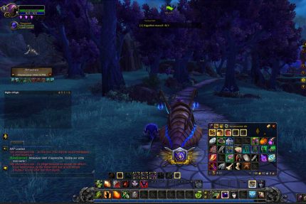 Guide : Les addons indispensables pour WoW Shadowlands - Blog
